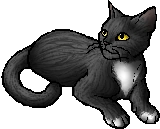 Willow Wind | Warriors AU Universe Wiki | Fandom
