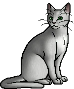 Needletail | Warriors AU Universe Wiki | Fandom