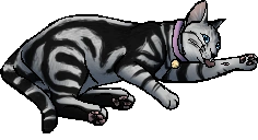 Merlin | Warriors AU Universe Wiki | Fandom