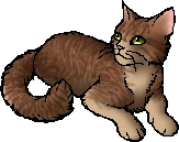 Adderpaw | Warriors: Bound to Stars Wiki | Fandom
