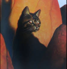 Bramblestar | Warriors Cats Dark Forest Wiki | Fandom