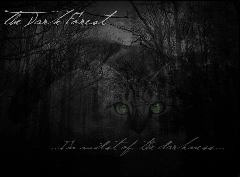 Wiki Content | Warriors Cats Dark Forest Wiki | Fandom