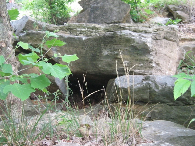 LightningClan Territory | Warriors Cats Roleplay Wiki | Fandom