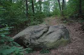 Highrocks | Warriors Cats Roleplay Wiki | Fandom