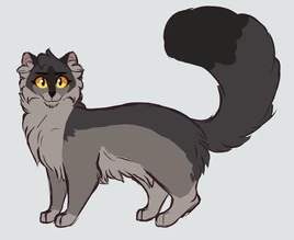 Graystripe | Warriors Shipping Wiki | Fandom
