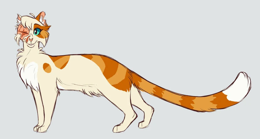 Brightheart | Warriors Shipping Wiki | Fandom