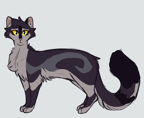 Stormfur | Warriors Shipping Wiki | Fandom