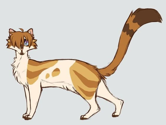 Rootspring | Warriors Shipping Wiki | Fandom