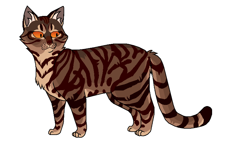 Полосатая Звезда | Коты-воители вики | Fandom