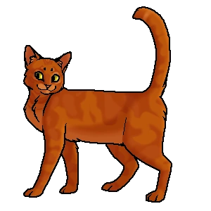 Полночь (книга)/Безымянные персонажи | Коты-воители вики | Fandom