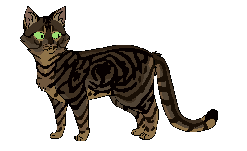 Хвоинка (Новое пророчество) | Коты-воители вики | Fandom