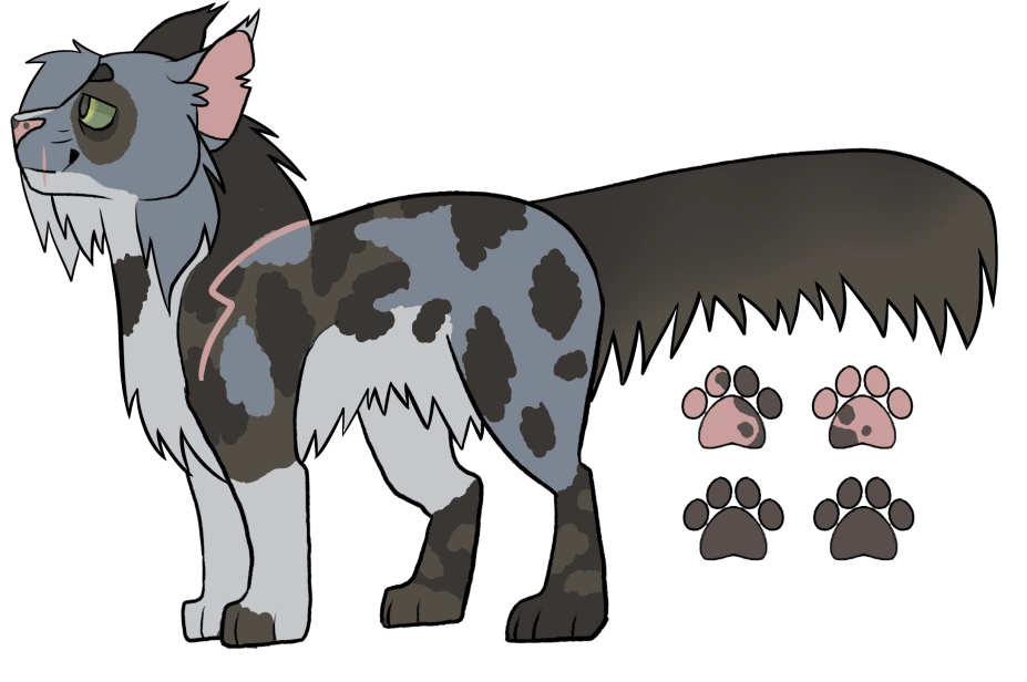 Rainthicket | Warriors Chasing Winds Wiki | Fandom