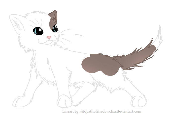 Cloud Mask | Warriors Diversity Wiki | Fandom