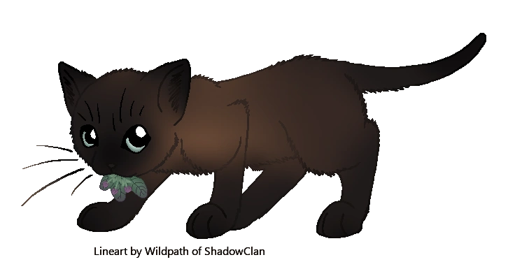 Rook Feather | Warriors Diversity Wiki | Fandom