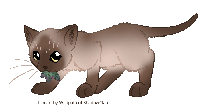 Adderstrike | Warriors Diversity Wiki | Fandom