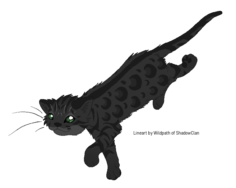 Panther Spots | Warriors Diversity Wiki | Fandom