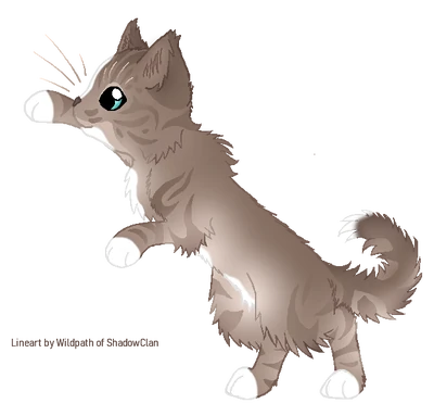 Shadowpaw | Warriors Diversity Wiki | Fandom