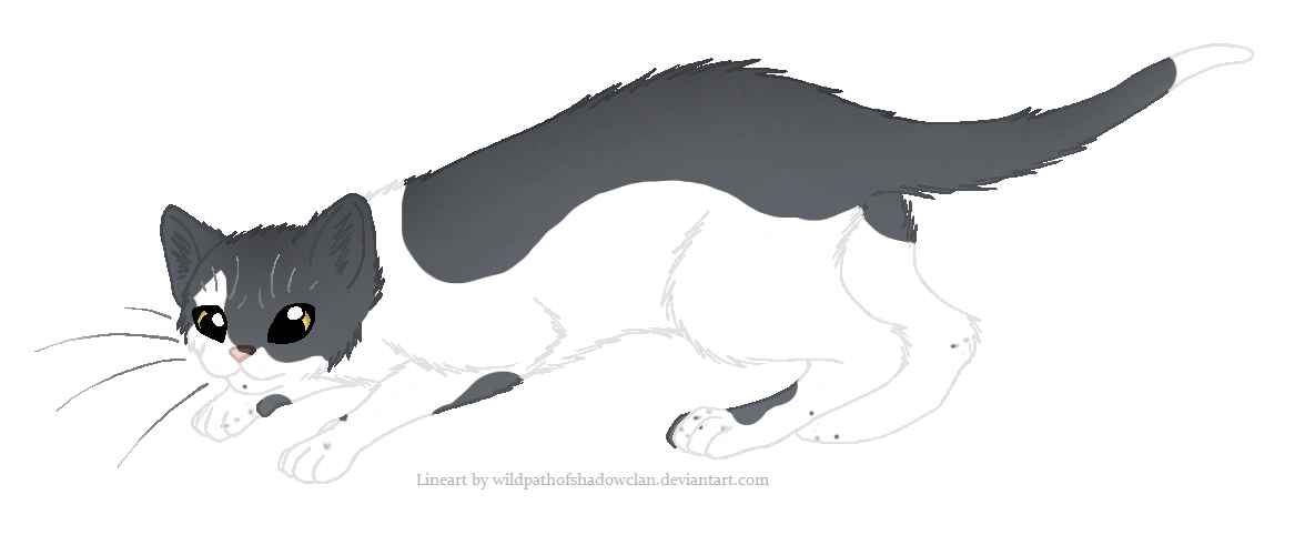 Patchtail | Warriors Diversity Wiki | Fandom