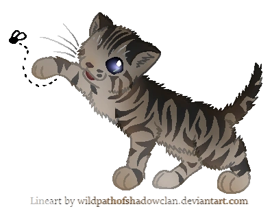 Jaykit | Warriors Diversity Wiki | Fandom