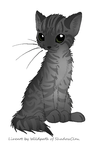 Ashtail | Warriors Diversity Wiki | Fandom