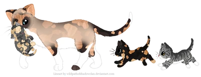 Willowkit | Warriors Diversity Wiki | Fandom