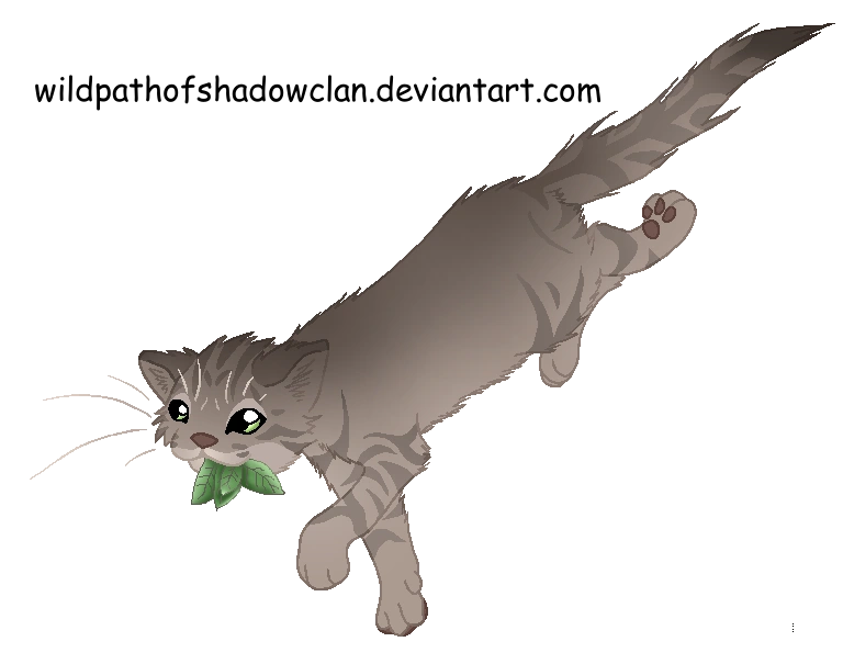 Thistle Tail | Warriors Diversity Wiki | Fandom