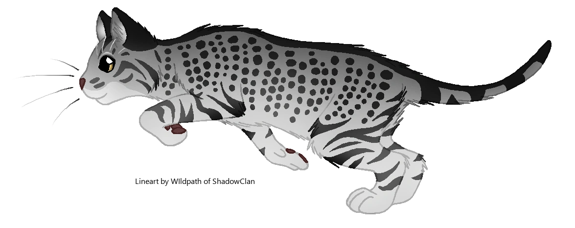 Pebble Pelt | Warriors Diversity Wiki | Fandom