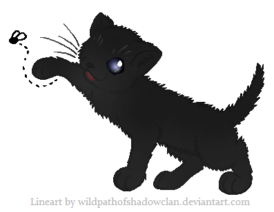 Stormkit | Warriors Diversity Wiki | Fandom