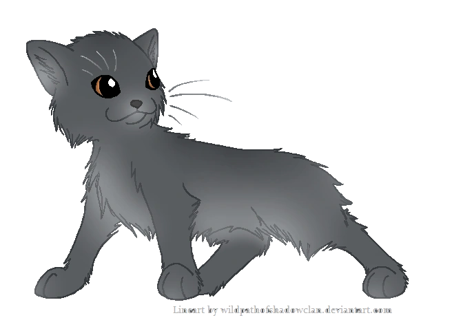 Slate | Warriors Diversity Wiki | Fandom