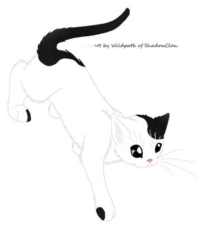 Crow Tail | Warriors Diversity Wiki | Fandom