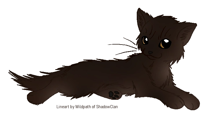 Shallowreed | Warriors Diversity Wiki | Fandom