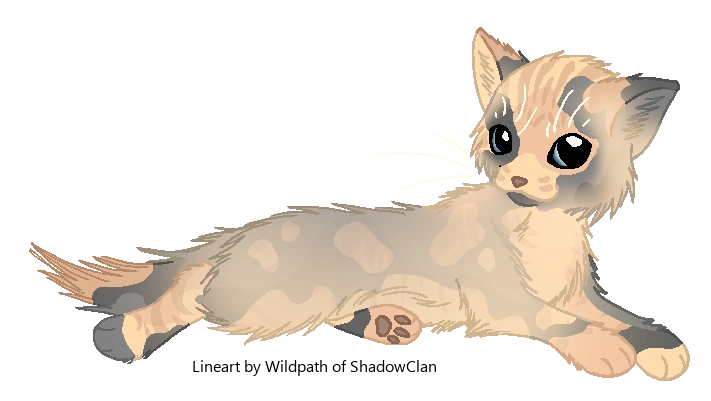 Sweetpaw | Warriors Diversity Wiki | Fandom
