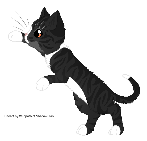 Sharpwing | Warriors Diversity Wiki | Fandom