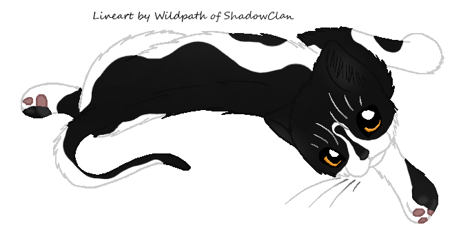 Kahu | Warriors Diversity Wiki | Fandom