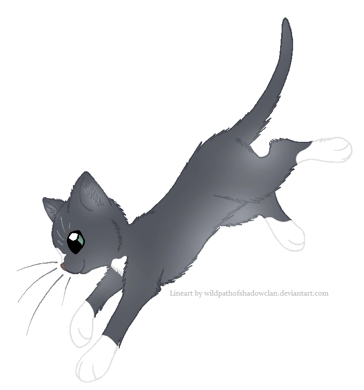 Ashwing | Warriors Diversity Wiki | Fandom