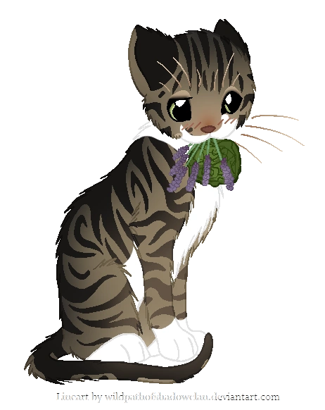 Moon Tuft | Warriors Diversity Wiki | Fandom