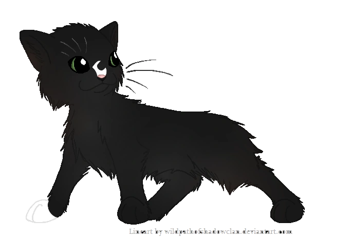 Rockstep | Warriors Diversity Wiki | Fandom