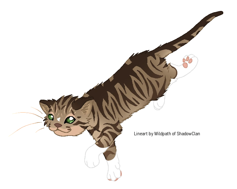 Reedfur | Warriors Diversity Wiki | Fandom
