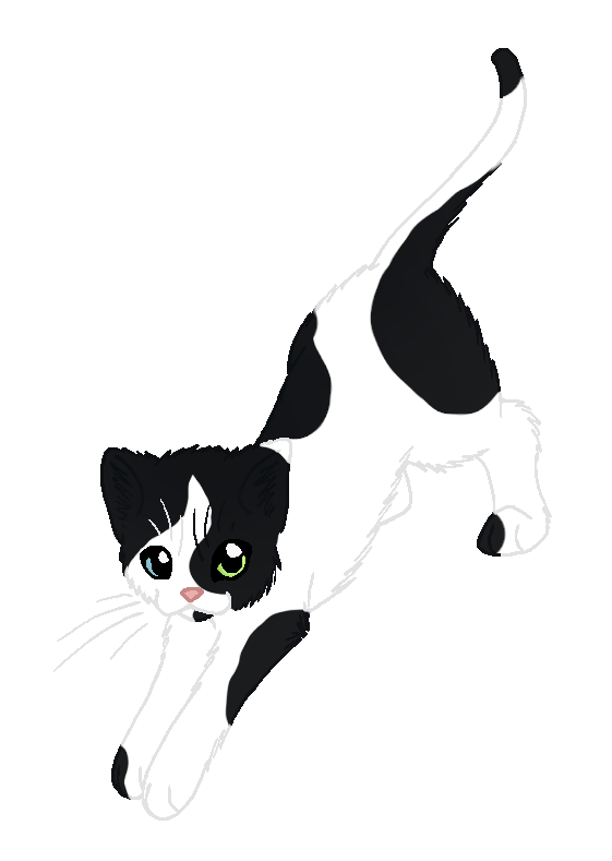 Splash Wing | Warriors Diversity Wiki | Fandom