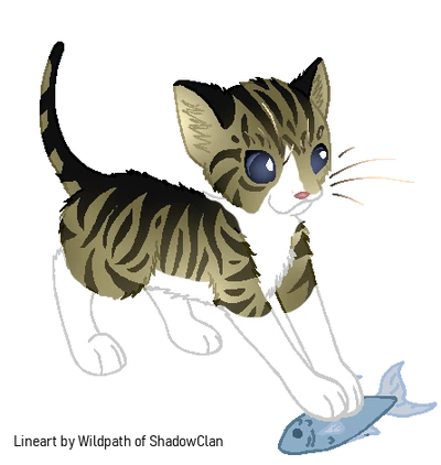 Duskpaw | Warriors Diversity Wiki | Fandom