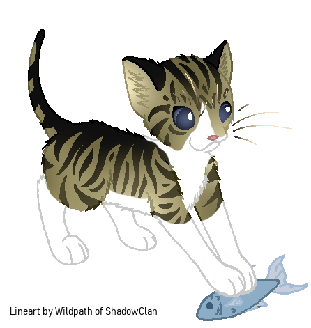 Duskpaw | Warriors Diversity Wiki | Fandom