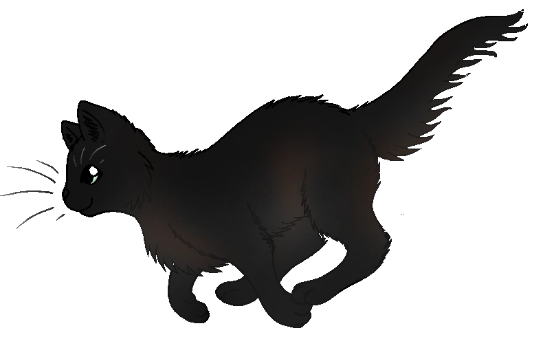 Nightfeather | Warriors Diversity Wiki | Fandom