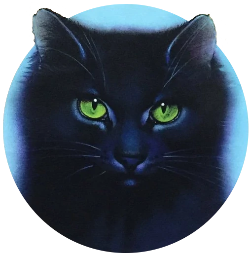 Hollyleaf | Warriors Couples and Kits Wiki | Fandom