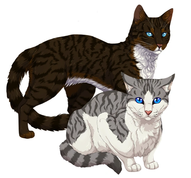 Kits Hawkfrost E Ivypool
