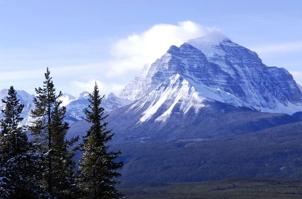 DarkClan | Warriors: Darkening Horizons Wiki | Fandom