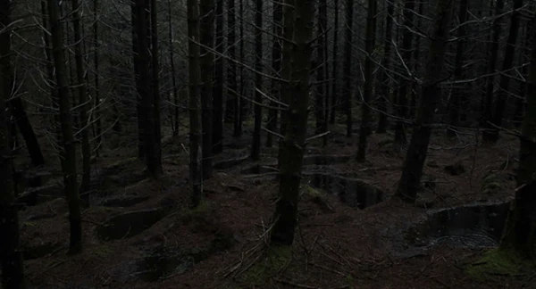 DarkClan | Warriors: Dawn of the Clans Wiki | Fandom