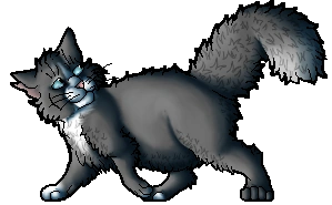 Dewfrost | Warriors: Echoes of the War Wikia | Fandom