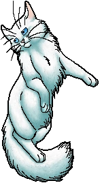 Cloudtail | Warriors: Echoes of the War Wikia | Fandom