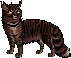 Shadowstar | Warriors: Echoes of the War Wikia | Fandom