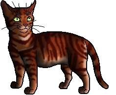 Redleaf | Warriors: Echoes of the War Wikia | Fandom